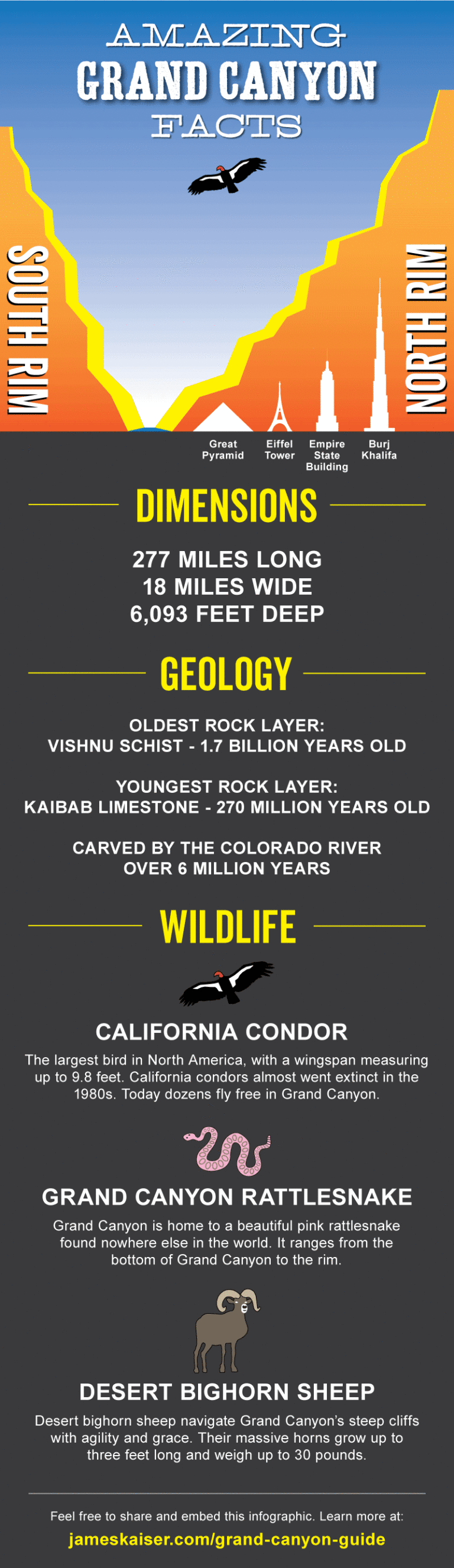 Grand Canyon Infographic • James Kaiser