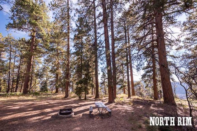 North Rim Campground Photos, Grand Canyon • James Kaiser